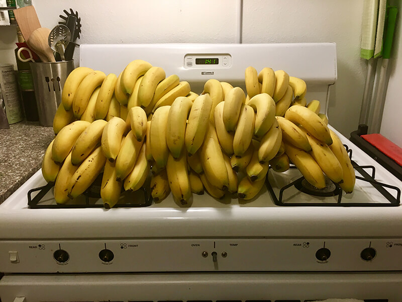 My Transition Into The Fruit Only Diet The Health Adventurer my-transition-into-the-fruit-only-diet-the-health-adventurer